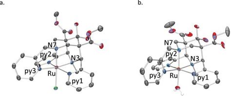 Ortep Plots Of The Molecular Cations Of A [ L 1 Ru Cl ] Clo 4 And
