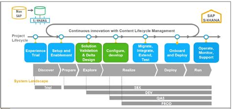 rise with sap sap s 4hana cloud best partner rise with sap business
