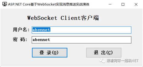 asp core中怎么利用websocket实现消息推送 编程语言 亿速云