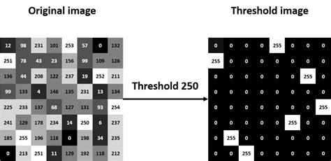 002 opencv projects how to cartoonize an image with