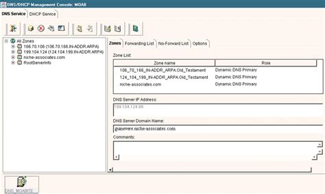 dns dhcp services in netware 5 check out an ip address with dns dhcp