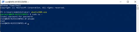 how to run linux on windows server 2019 with wsl computingforgeeks