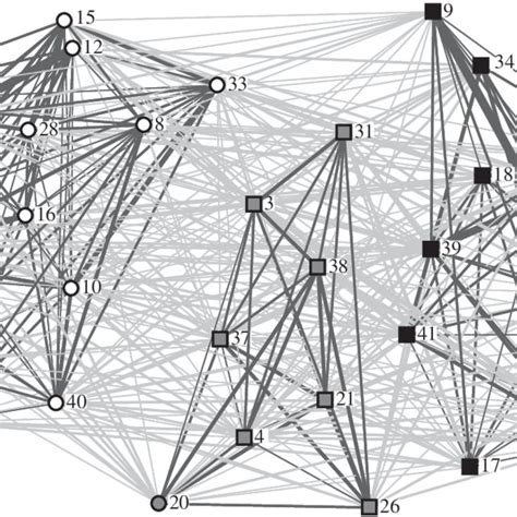Social Network Of Dolphins From Laguna With Three Modules Defined By