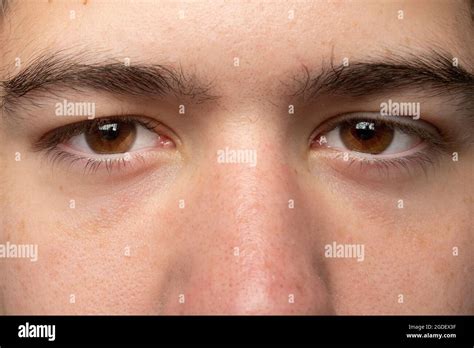 Honey Eyes Color