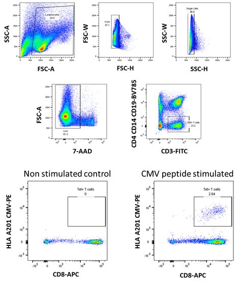 The Lab Notebook The Mbl International Blog Flow Cytometry