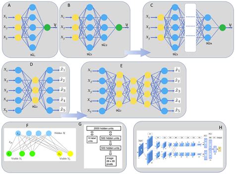 applied sciences free full text deep learning in the biomedical