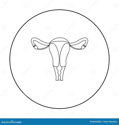 Uterus Icon In Outline Style Isolated On White Background Organs