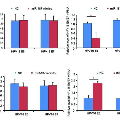 Mir 187 Affects The Expression Of Hpv16 E6 Mrna And P53 Protein A