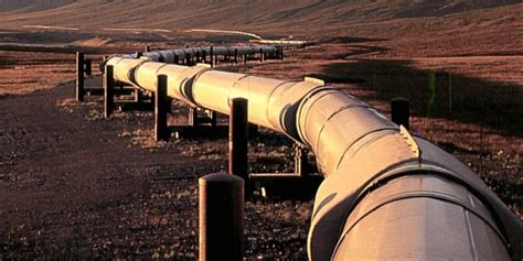 jenkins multibranch pipeline and pretested integration