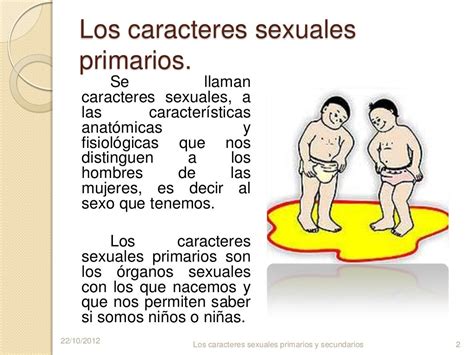 Get Caracteristicas Sexuales Del Hombre Y La Mujer Png Tipos