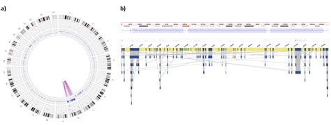 Bionano光学图谱技术 遗传病、癌症研究检测方案