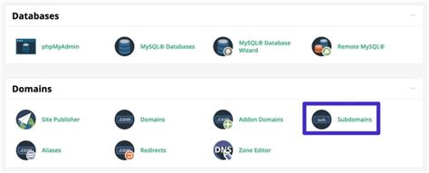 How To Install Wordpress On Subdomain Kinsta®