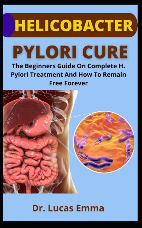 Buy Helicobacter Pylori Cure The Beginners Guide On Complete H Pylori