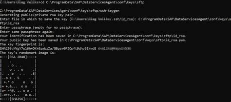 how to connect cpi ds with aws transfer for sftp s3 buckets via public