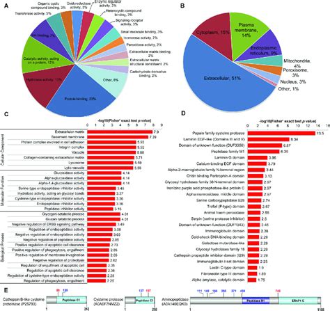 Functional Classification And Enrichment Analysis Of Haemonchus