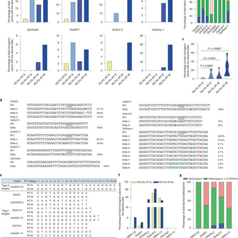 Optimized Prime Editors For Precise Genome Editing In Hek293t Cells A