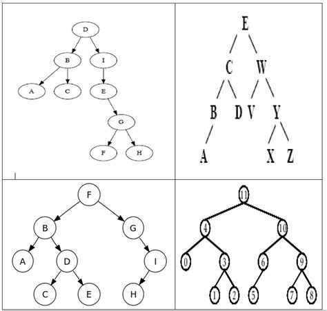 solved q construct the bi… manvila