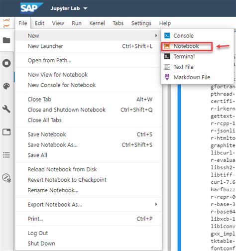 sap data intelligence cloud how to use r kernel in notebook sap blogs