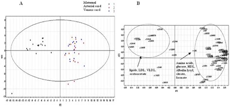 Multivariate Analyses Resulting From The 48 Standard 1d Spectra Of