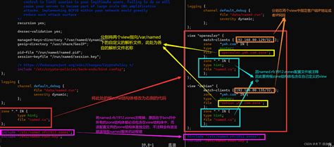 【精选】linux中bind9的view（视图解析）配置示例与注意事项 linux中view inside csdn博客