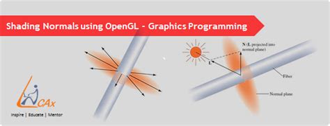 shading normals using opengl graphics programming learncax