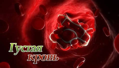 Густая кровь причины что означает лечение и разжижение крови