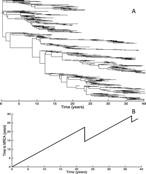 Figures And Data In The Effects Of A Deleterious Mutation Load On