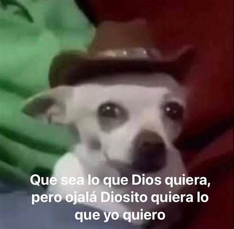 Que Sea Lo Que Dios Quiera Pero Ojalá Diosito Quiera Lo Que Yo Quiero