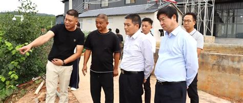省乡村振兴局副局长蒋兴明到石屏县调研 乡村振兴 新浪新闻