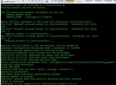 installing oracle database 11g r2 on linux with asm