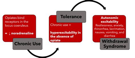 Opioid Withdrawal Therapy Autonomic Hypersensitivity Tamed — Taming