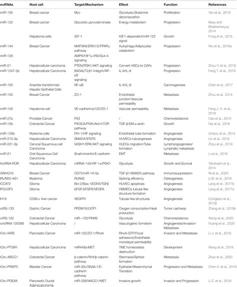 Frontiers Exosomal Non Coding Rnas Mediated Crosstalk In The Tumor
