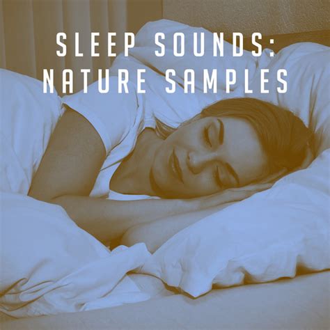 Rain Sound Bedtime Rain Música E Letra De Rain Sounds Factory Sthlm