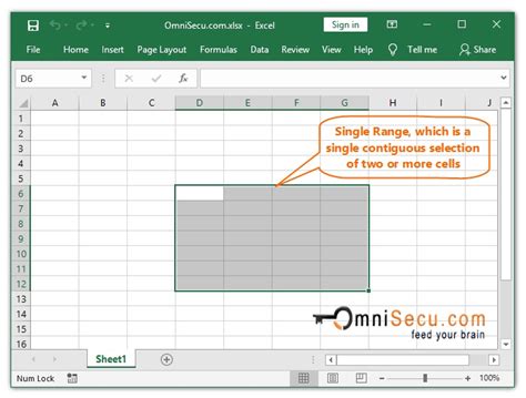 types of selection worksheet