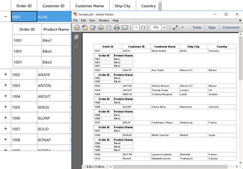 export to pdf in uwp datagrid control syncfusion