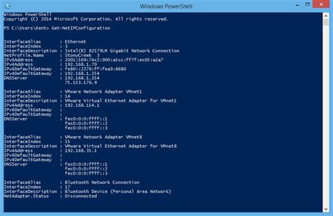 powershell equivalent cmdlets for ipconfig ping and