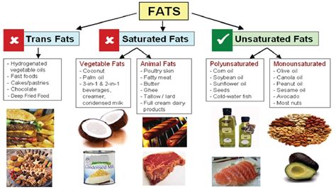 Saturated Fats Vs Unsaturated Fats Vs Trans Fats At Michael Ashworth Blog