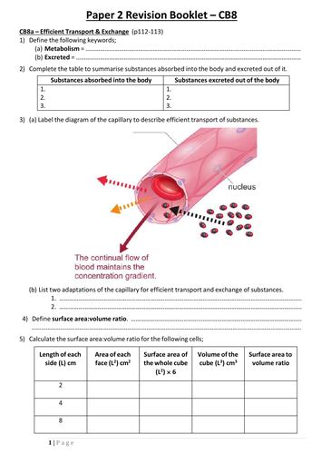 Cb8 Revision Booklet Edexcel Gcse Combined Science Biology Teaching