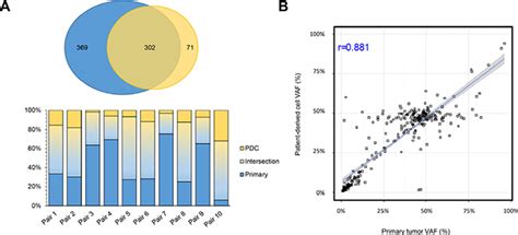 Molecular Characterization Of Colorectal Cancer Patients And
