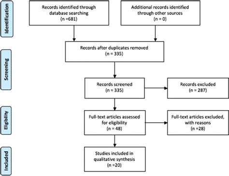 Systematic Review Methodology Flowchart