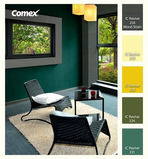 Carta De Colores Para Exteriores Comex Hal Saenz