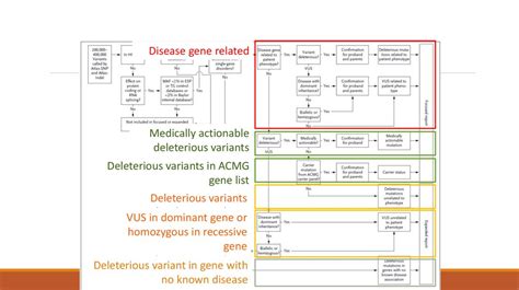 ngs data analysis from fastq to vcf презентация онлайн