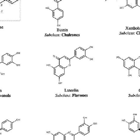 Representative Chemical Structures Of The Main Subclasses And Basic