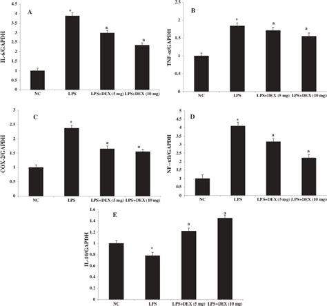 Effect Of Dexamethasone Dex On Expressions Of Il 6 A Tnf α B