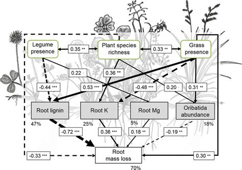 The Final Structural Equation Model With Direct And Indirect Pathways