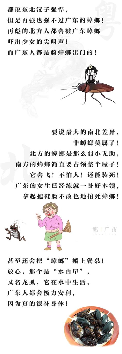 广东人和北方人不能在一起吃饭，真相原来是…… 南方 北方人 烧卖 新浪新闻