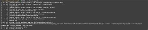 run `flutter packages upgrade` doesn t provide output