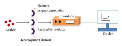 Basic Principle Of Electrochemical Biosensor Download Scientific Diagram