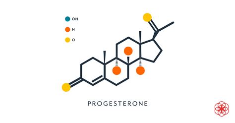 Progesterone Definition Levels Symptoms Of Low Progesterone And More