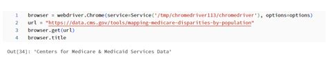 error in databricks selenium webdriverexception message unknown